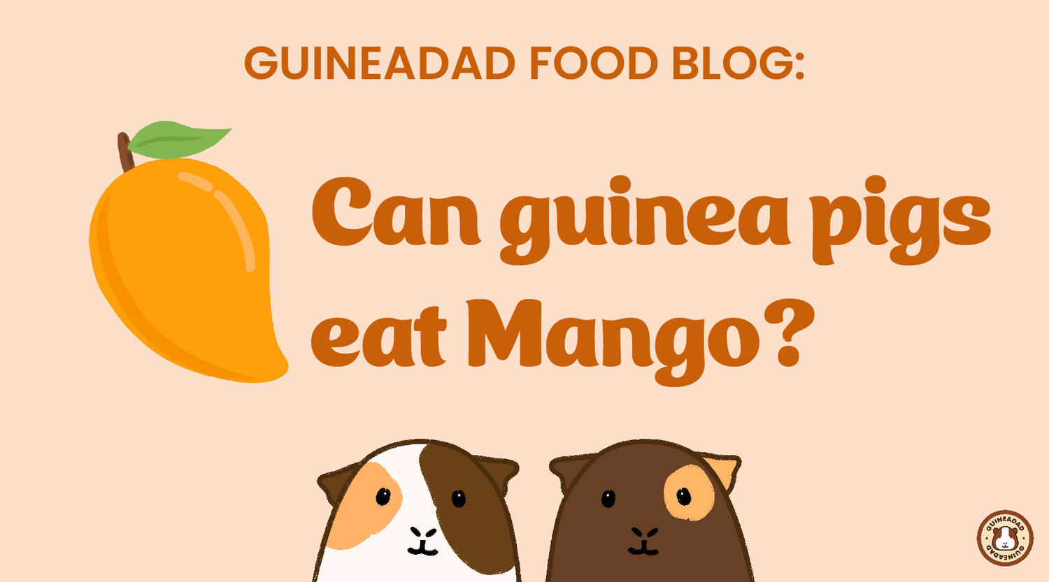 GuineaDad Food Blog: Can guinea pigs eat mango?