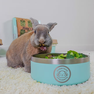 BunnyDad Big-Sipper Rabbit Water Bowl – GuineaDad