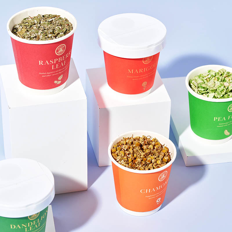 Guinea Pig Pea Flakes - Pea Chips for Guinea Pigs - GuineaDad