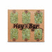 GuineaDad Orchard Hay Bar for Guinea Pigs (5 Pack)