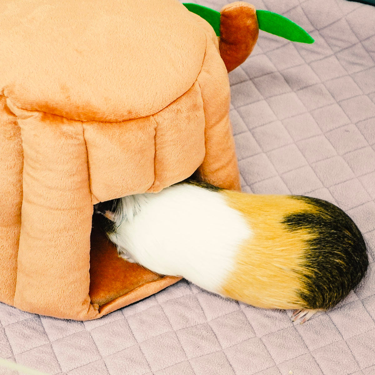 Tree Stump Hidey – GuineaDad